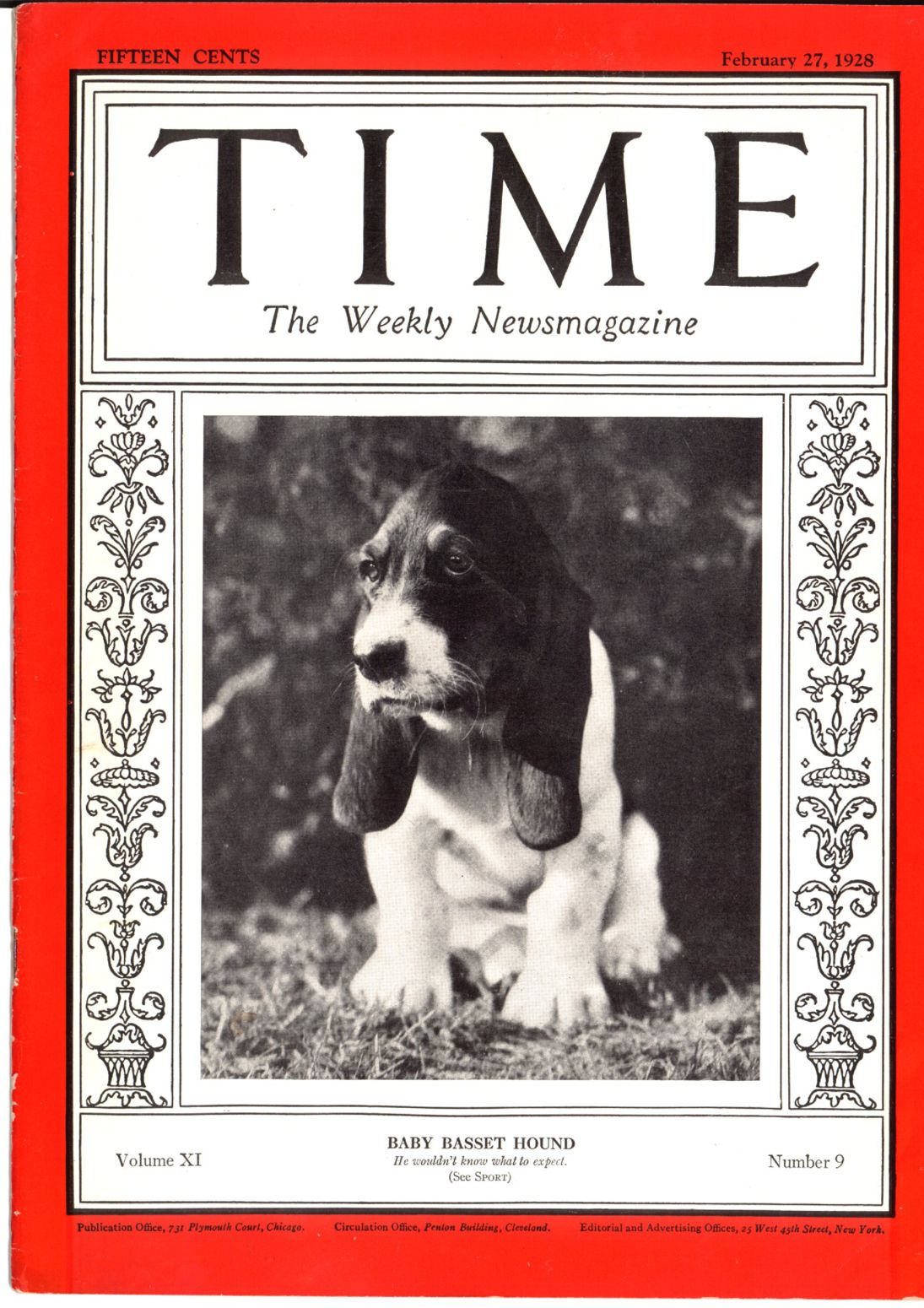 Time Magazine Cover Dog Magazine Covers